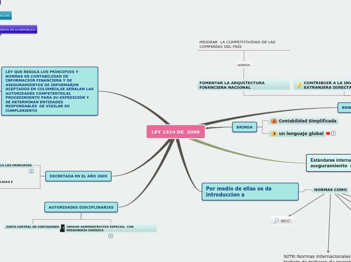 LEY 1314 DE 2009 - Mind Map